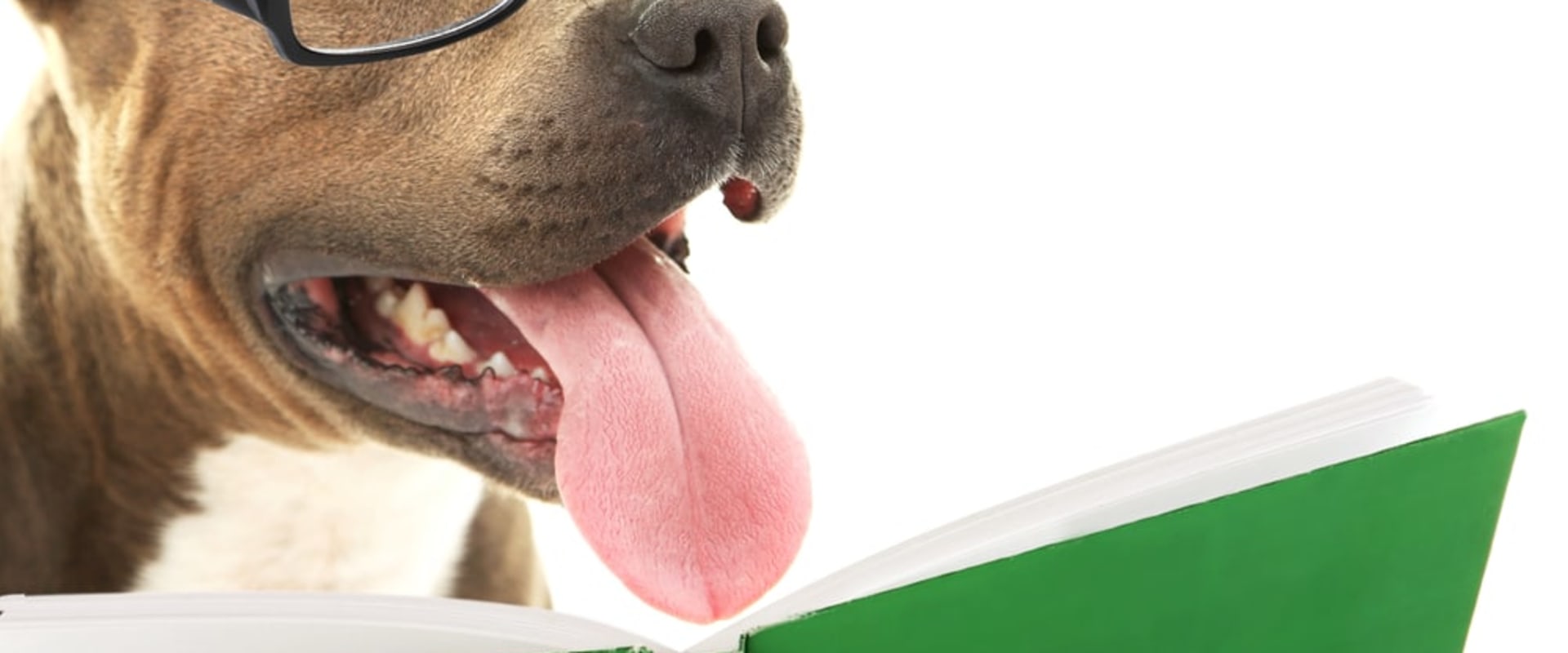 Learn English: Classes to Improve Your Fluency